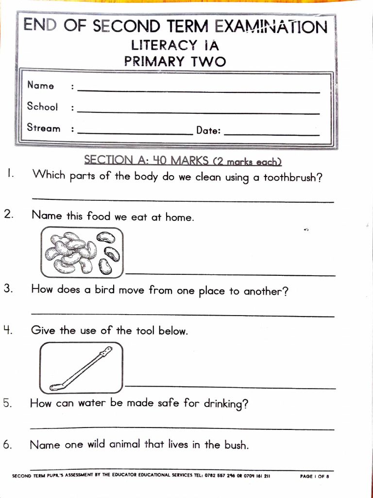Primary Two Term 2 Exam Questions | PDF