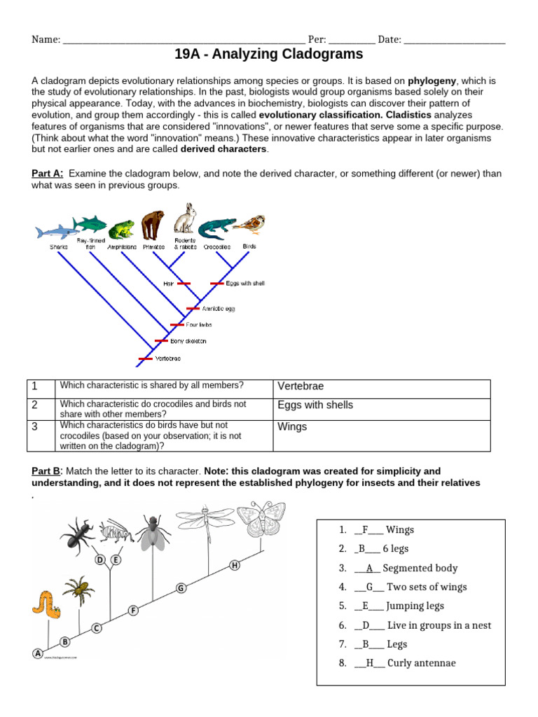 Cladogram Analysis and Evolutionary Traits | PDF | Clade | Phylogenetics