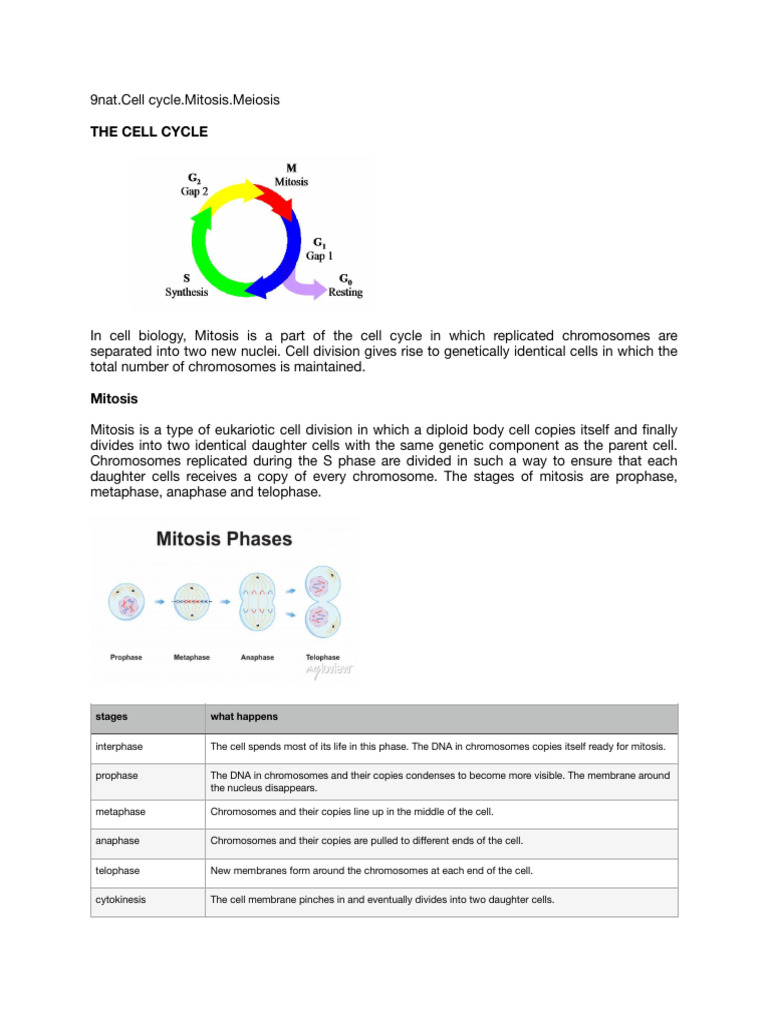 8nat - Cell Cycle - Mitosis.meiosis. | PDF | Meiosis | Mitosis