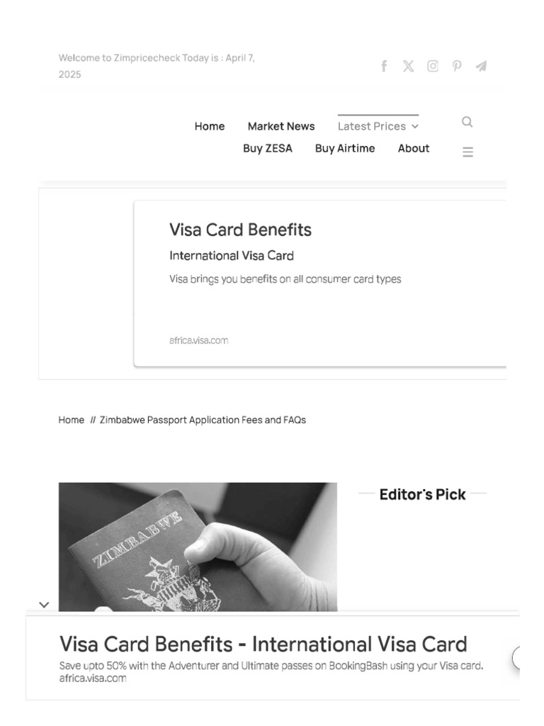 EPassport Requirements - Zim | PDF