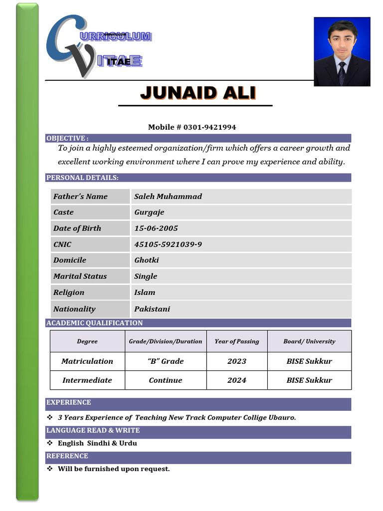 Curriculum Vitae of Junaid Ali | PDF