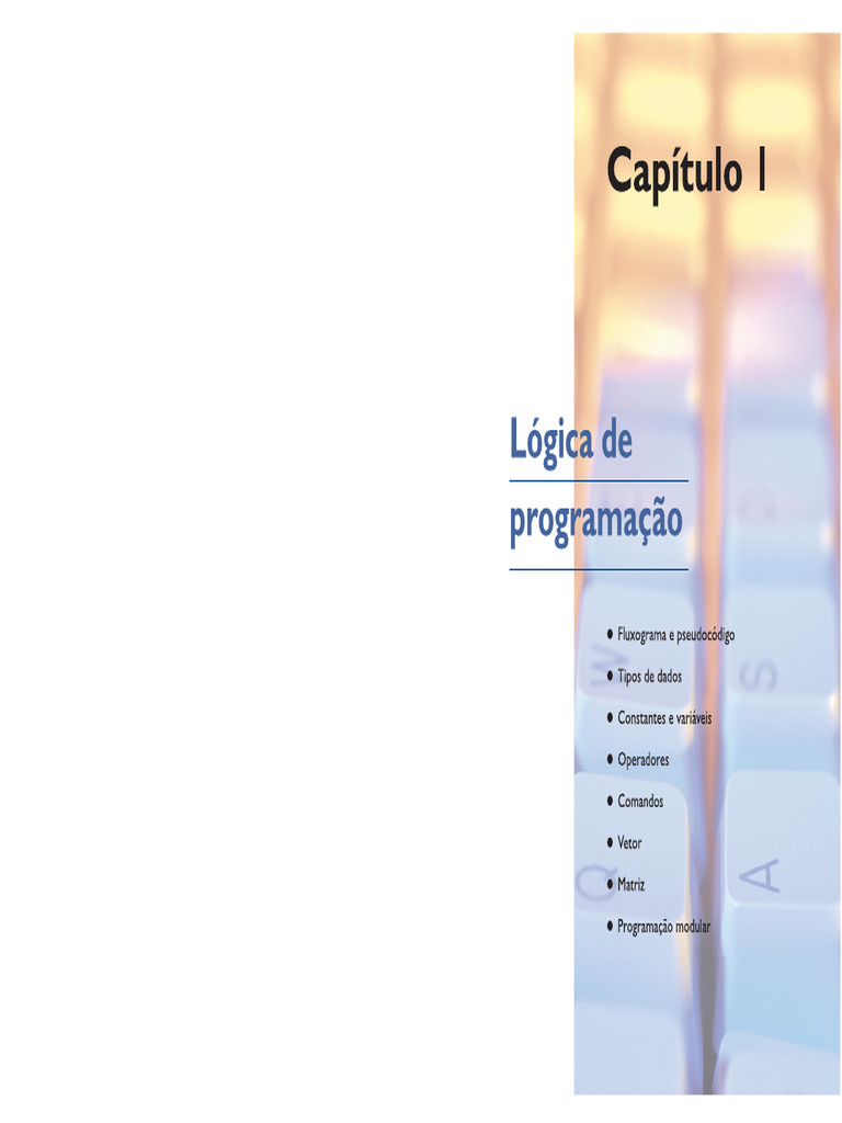 Logica de Programacao | PDF