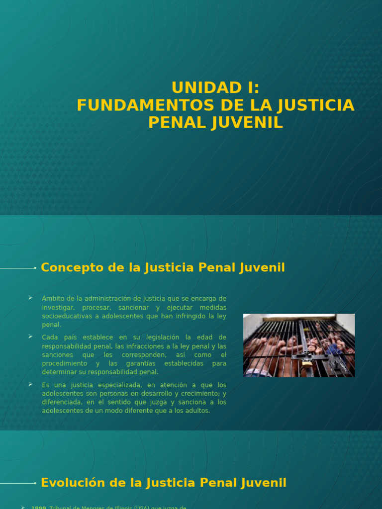 Diapositiva Tema #1 | PDF | Derecho penal | Justicia