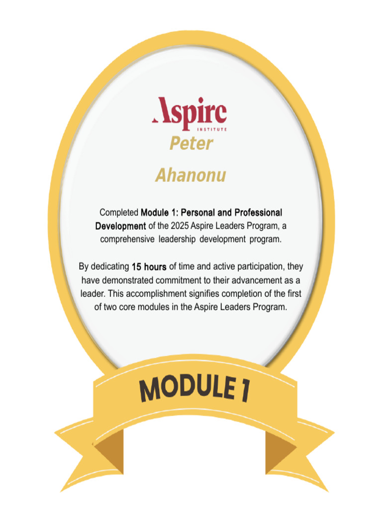 Peter Ahanonu Module 1 Badge 2025 | PDF