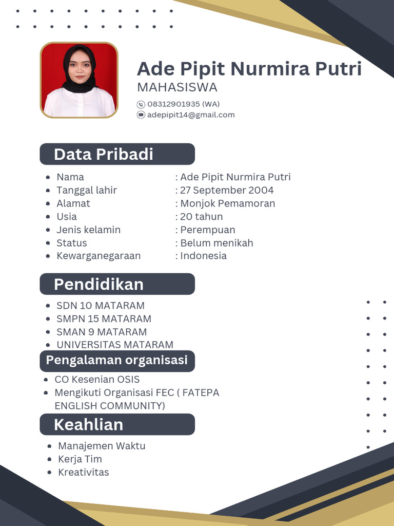 Cv Ade Pipit | PDF