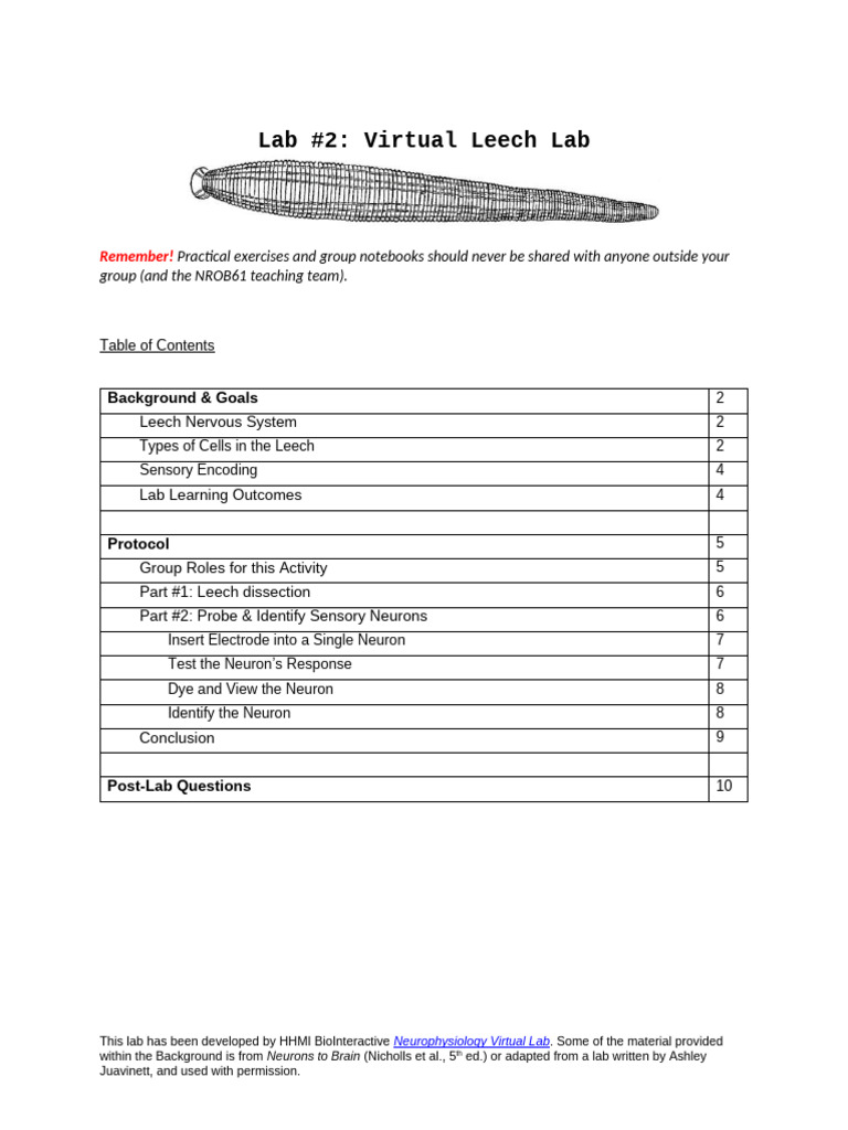 Virtual Leech Dissection Lab Guide | PDF | Neuron | Stimulus (Physiology)