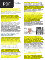 Anatomia do Fígado e Suas Faces | PDF | Fígado | Gastroenterologia