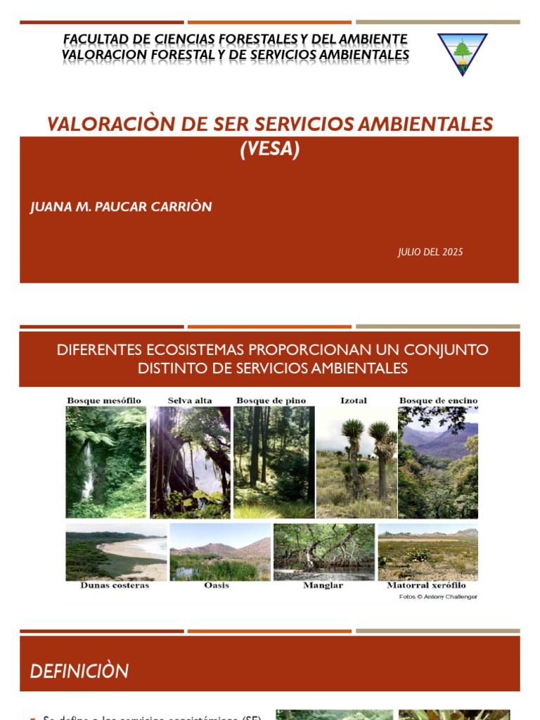 Valorac Servicios Ambientales | PDF | Metodología de encuesta | Entorno natural