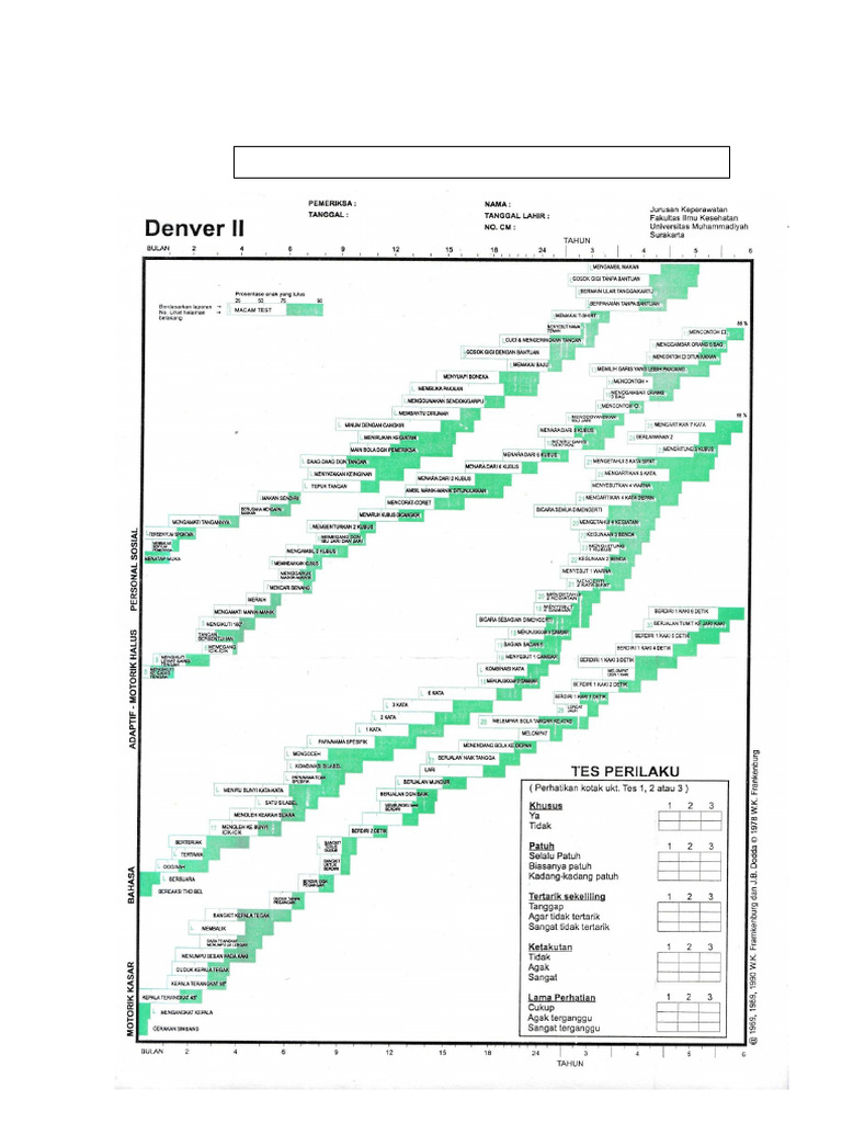 Denver Ii | PDF