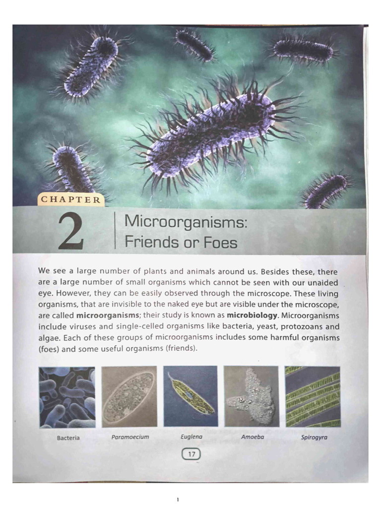 Compressed_Kaagaz_20250628_165133345190 | PDF