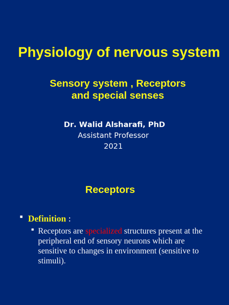 Nervous System Physiology: Sensory Receptors | PDF | Stimulus ...