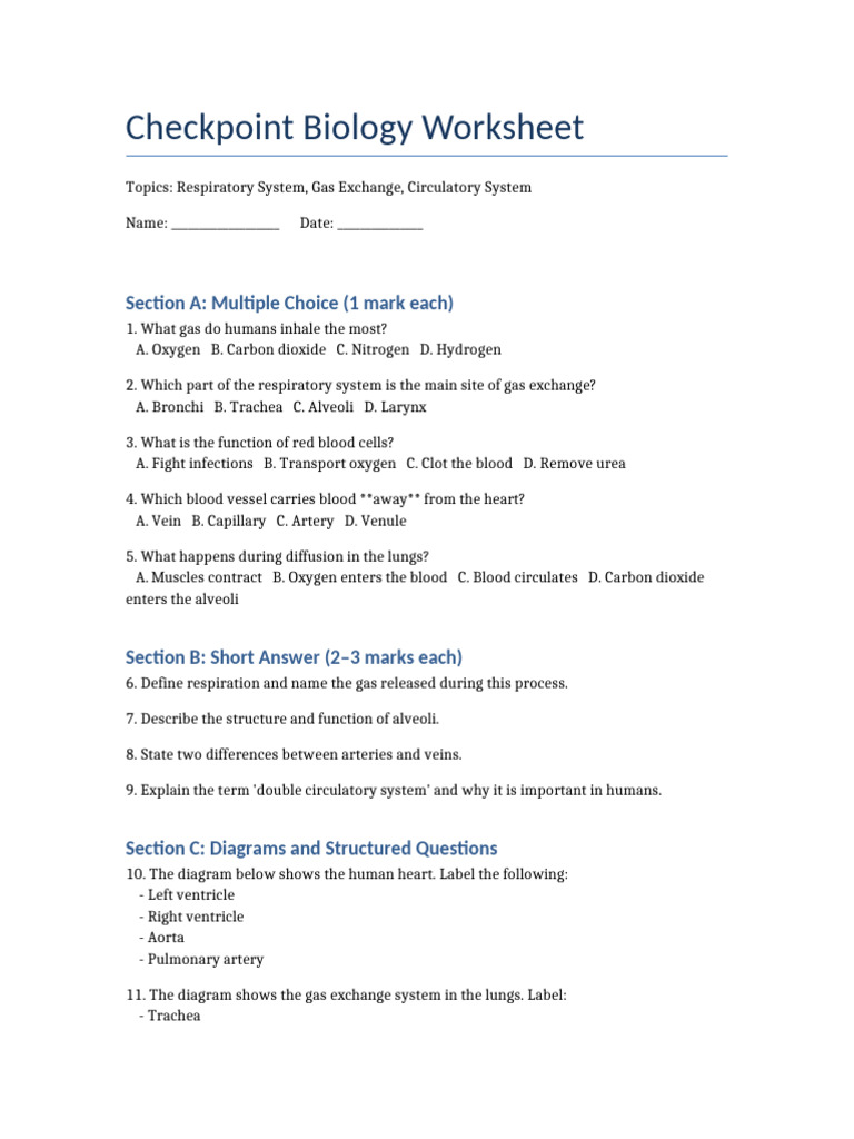 Checkpoint Biology Worksheet | PDF | Respiratory System | Lung