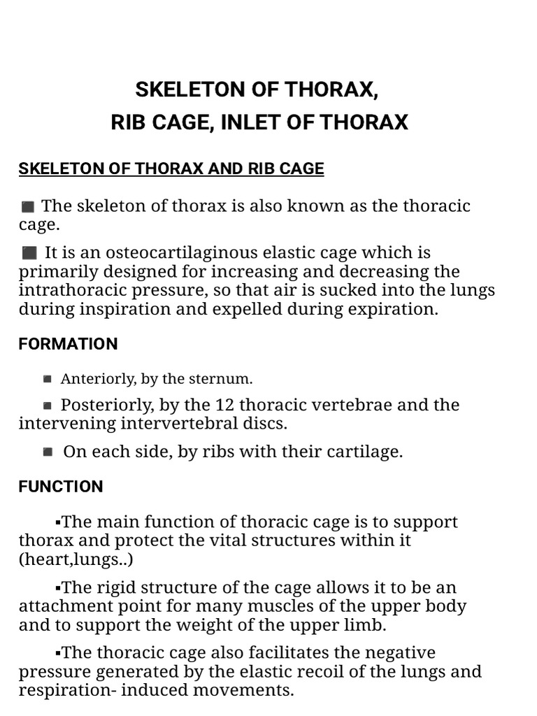 Skeleton of Thorax, Rib Cage and Inlet of Thorax | PDF | Thorax | Vertebra