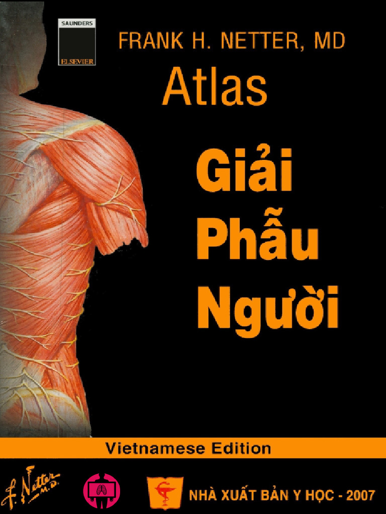 Atlas Giai Phau Nguoi Netter Tieng Viet | PDF