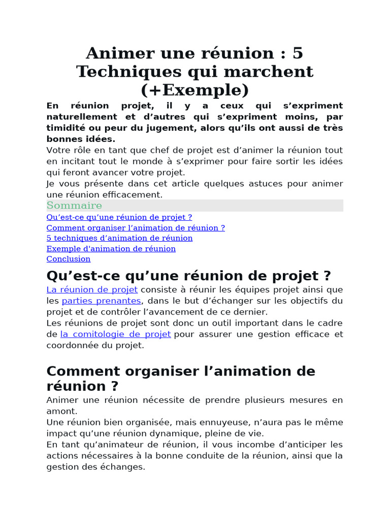 Techniques d'animation de réunion efficaces | PDF | Résolution de conflit