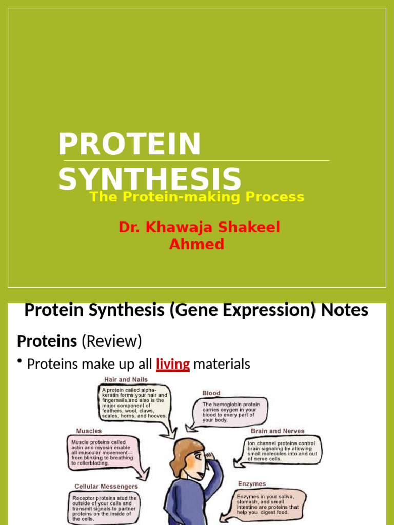 Understanding Protein Synthesis Process | PDF | Translation (Biology ...