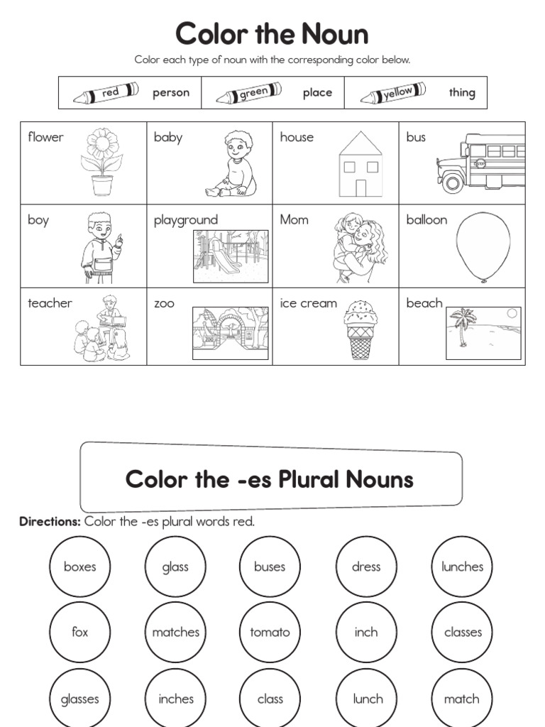 Color-Coding Plural Noun Rules | PDF | Morphology | Language Mechanics