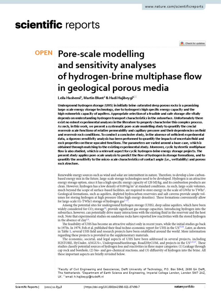 Pore-Scale Modelling and Sensitivity Analyses of Hydrogen-Brine ...