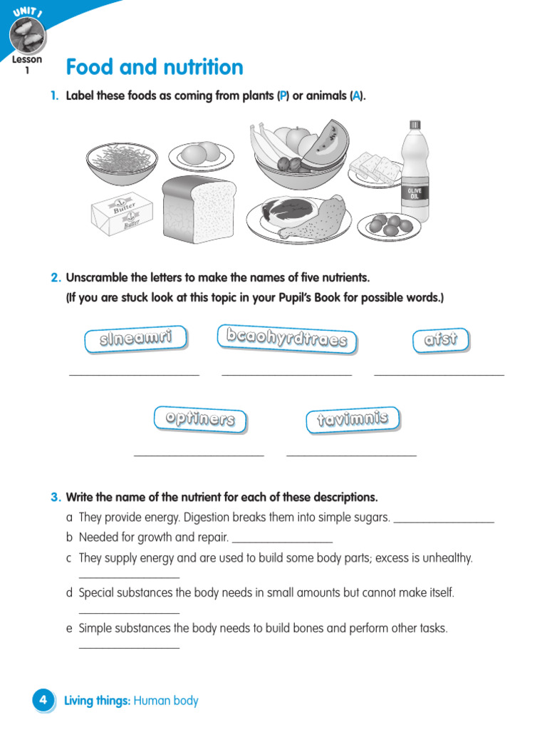 Macmillan Science Level 5 Workbook Unit 1 PP 4 8 | PDF | Foods | Nutrition