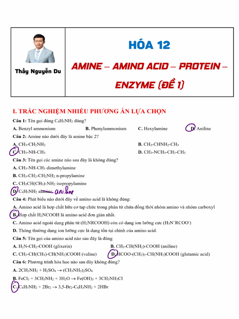 đề 1 amine free | PDF
