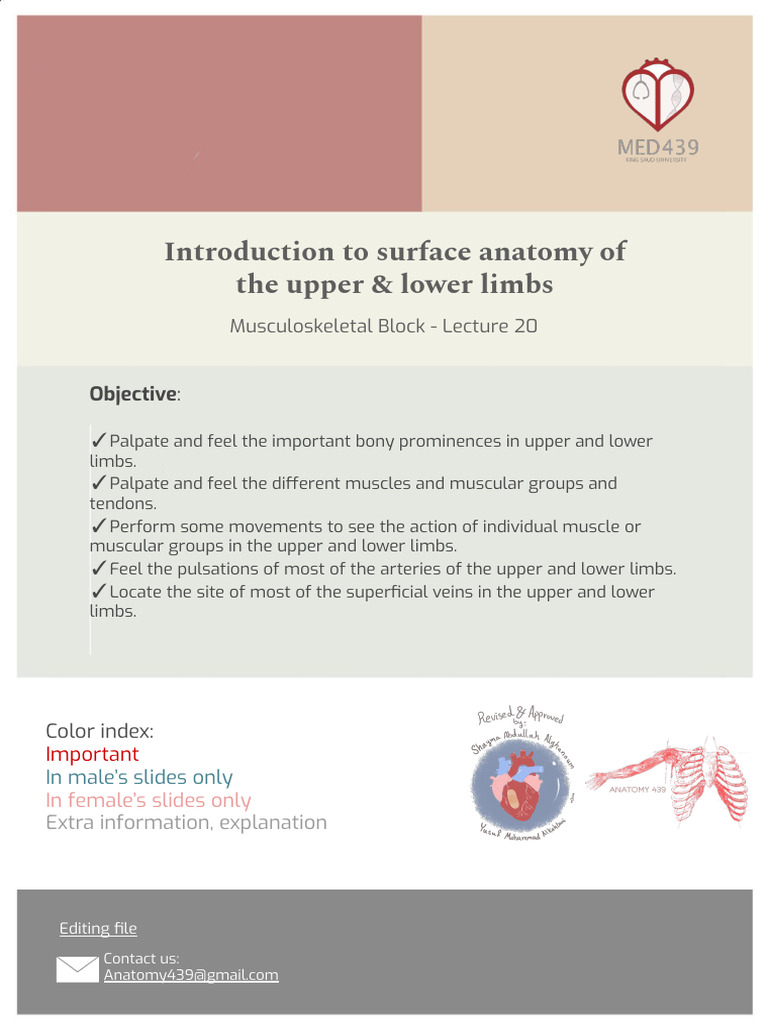 Introduction To Surface Anatomy of The Upper & Lower Limbs | PDF | Arm ...