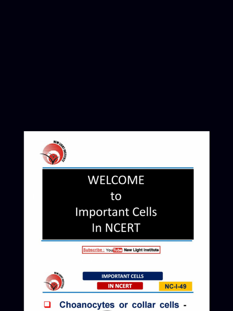 Ipl Repid Fire | PDF