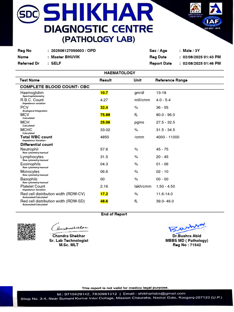 Complete Blood and Serology Report | PDF | Serology | Diseases And ...