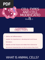 Class 9th Animal Tissue Notes | PDF | Epithelium | Muscle