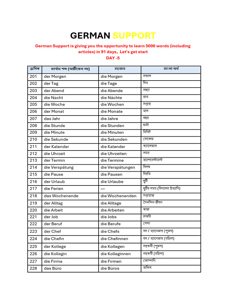 German Support (Day 5) Vocabulary | PDF