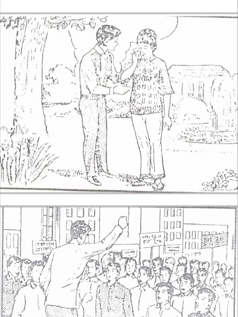 Ppdt 400+ Practice Images | PDF