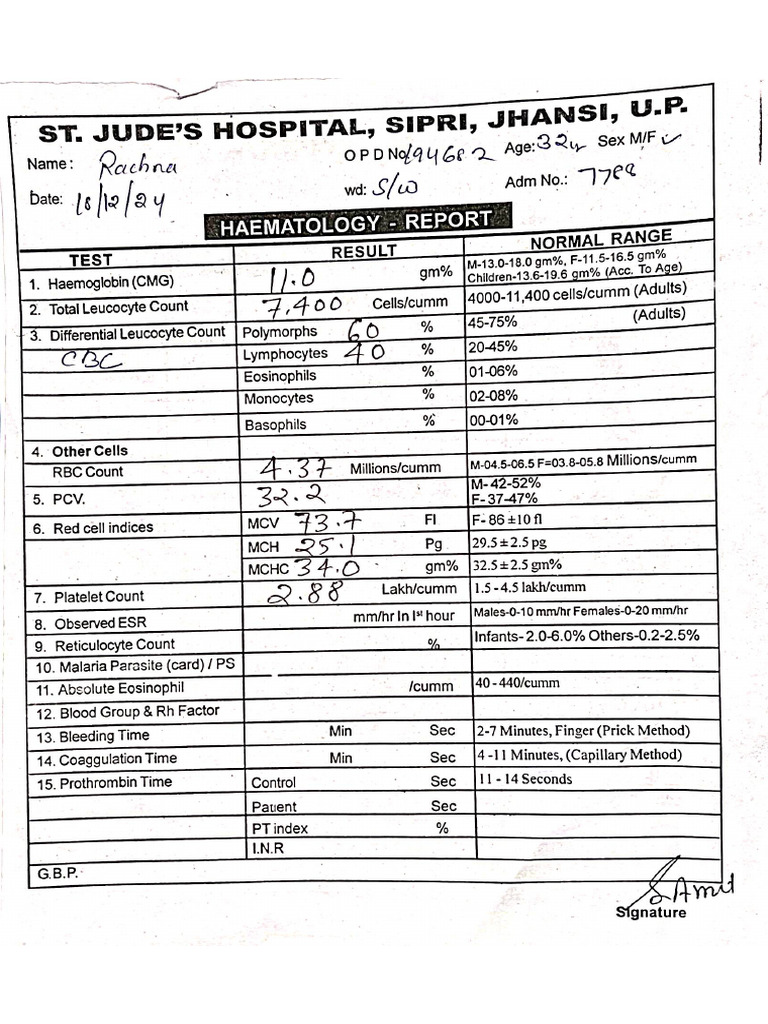 Blood Test Report | PDF