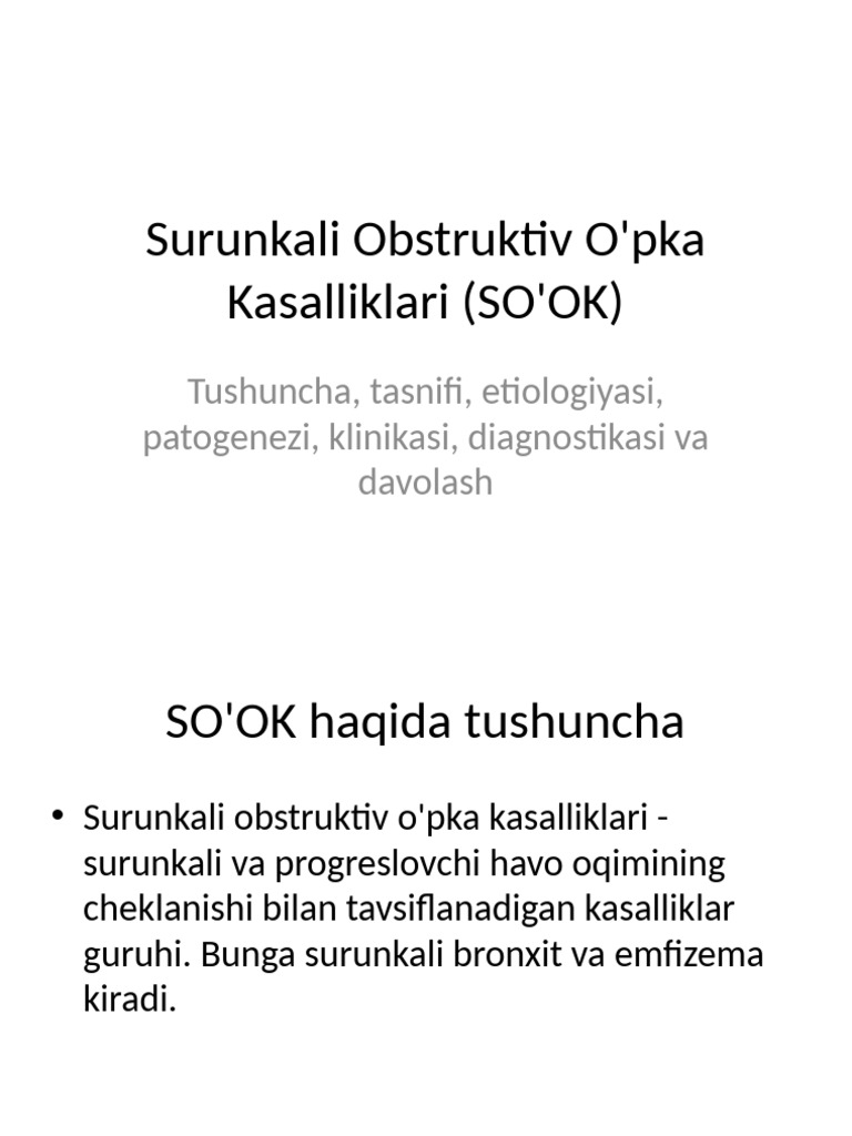 SO'OK Presentation | PDF