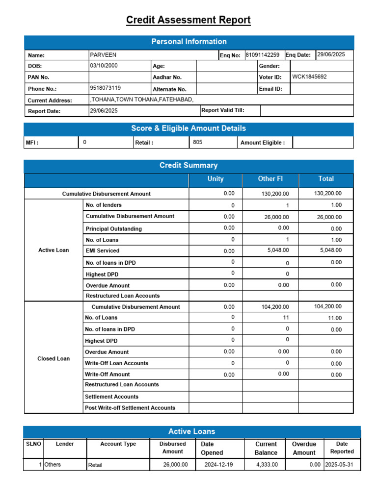 Credit Assessment Report Summary | PDF | Loans | Unsecured Debt