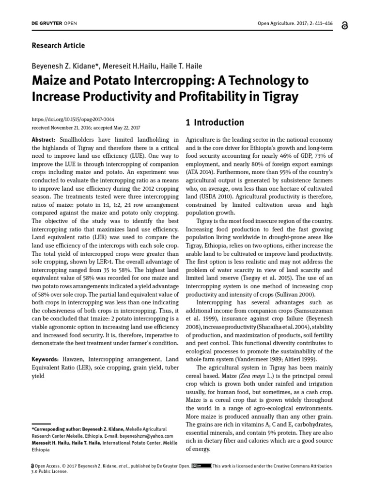 Maize-Potato Intercropping for Tigray | PDF | Cereals | Agriculture