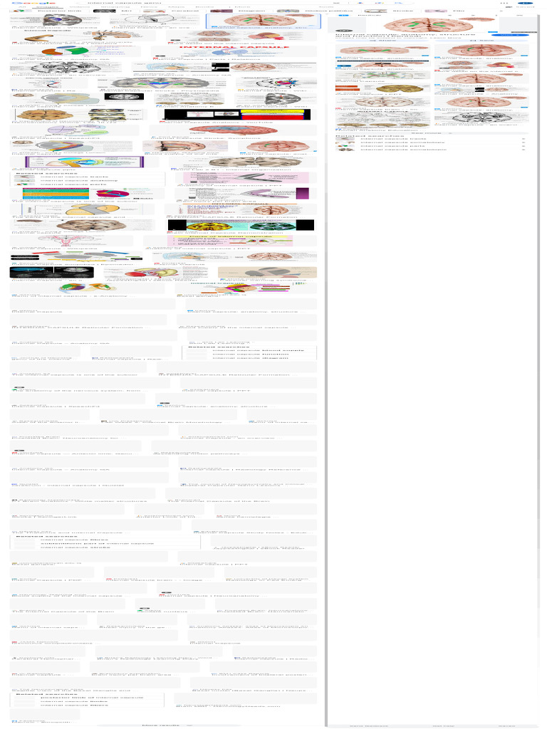 Internal Capsule Genu - Google Search | PDF | Cerebrum | Neuroanatomy