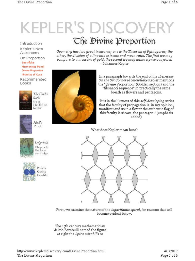 Divine Proportion | PDF