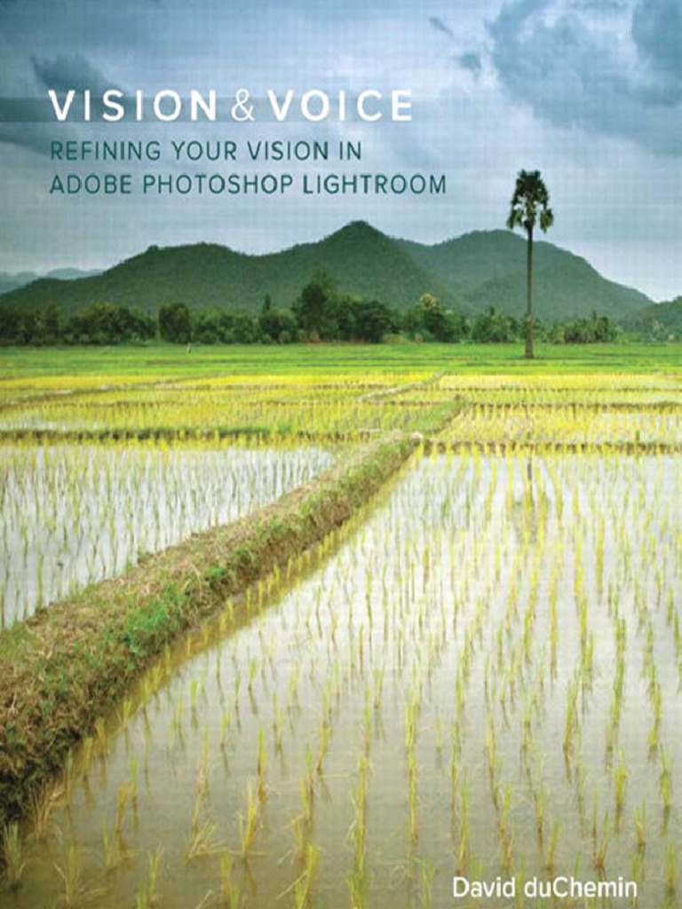 David DuChemin - Vision & Voice - Refining Your Vision in Adobe ...
