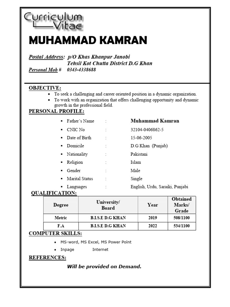 Kamran CV | PDF