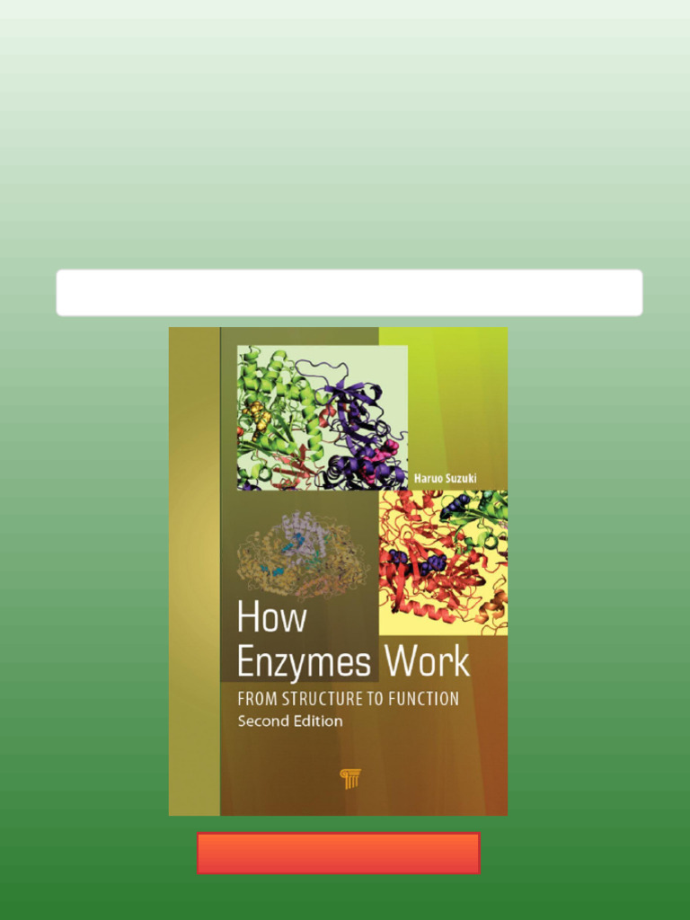 How Enzymes Work From Structure to Function 2nd Edition Haruo Suzuki ...