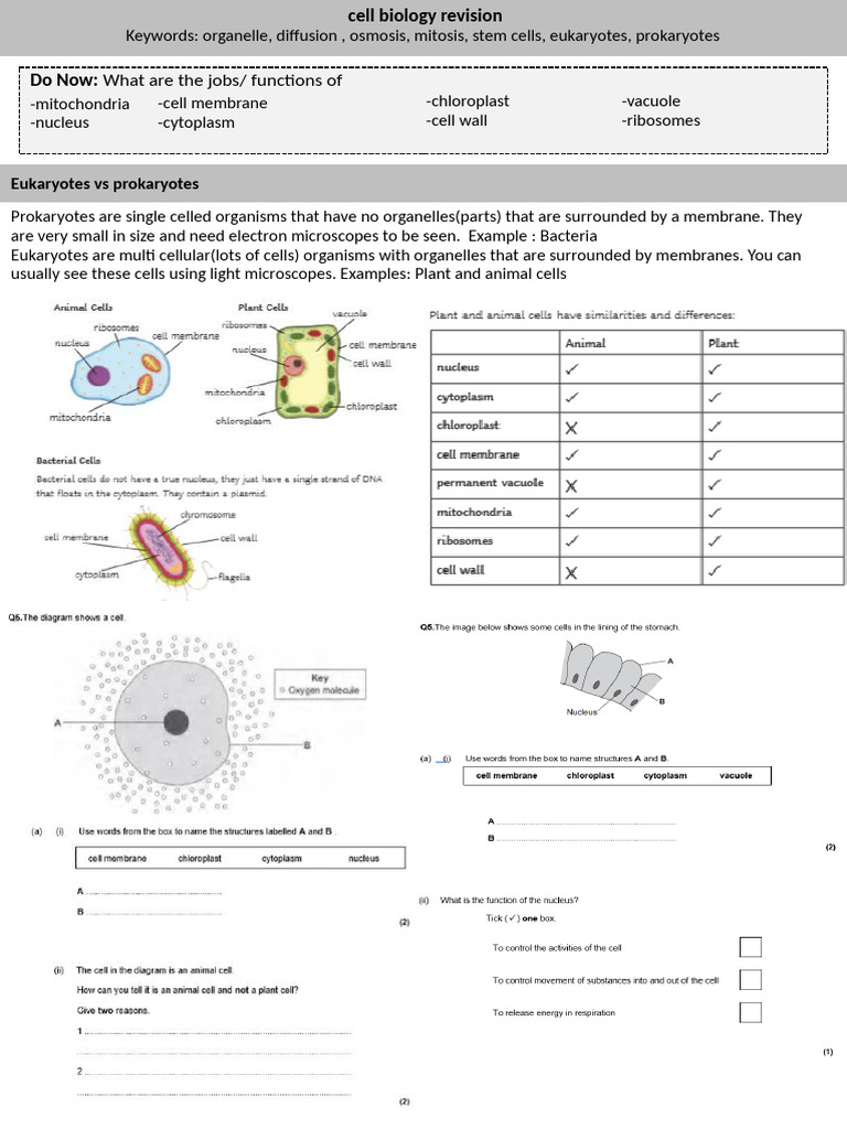 Aqa Biology Paper 1 Revision Booklet | PDF | Circulatory System | Heart
