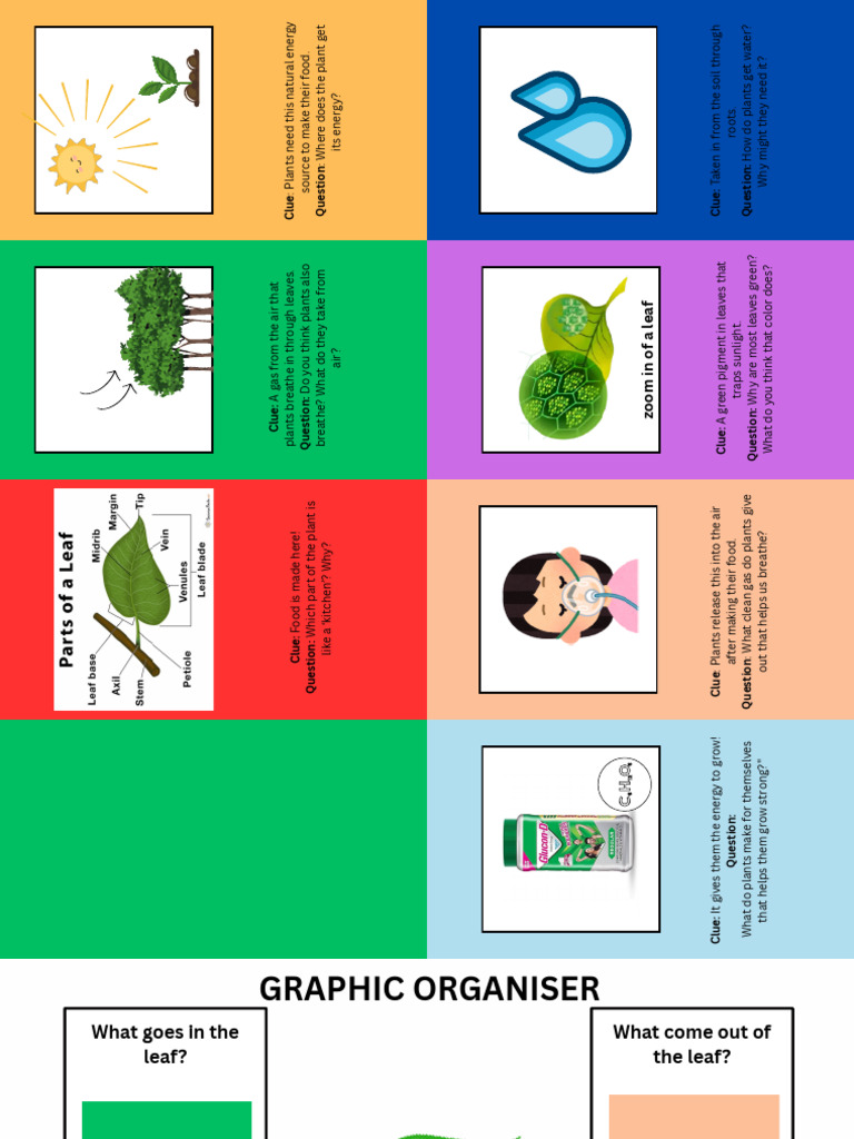 Cards ? Card 1 Sunlight Image Sun Shining Over A Plant Clue Plants Need ...