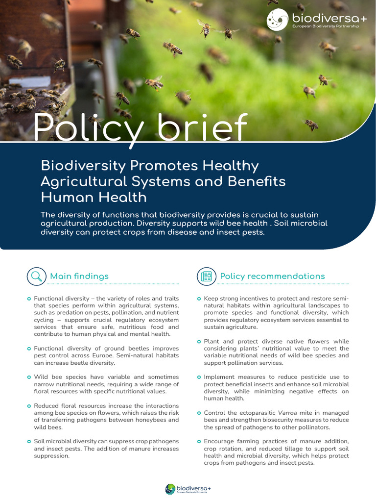 Biodiversa Policybrief Agricultural Diversity and Health | PDF | Agriculture | Biodiversity