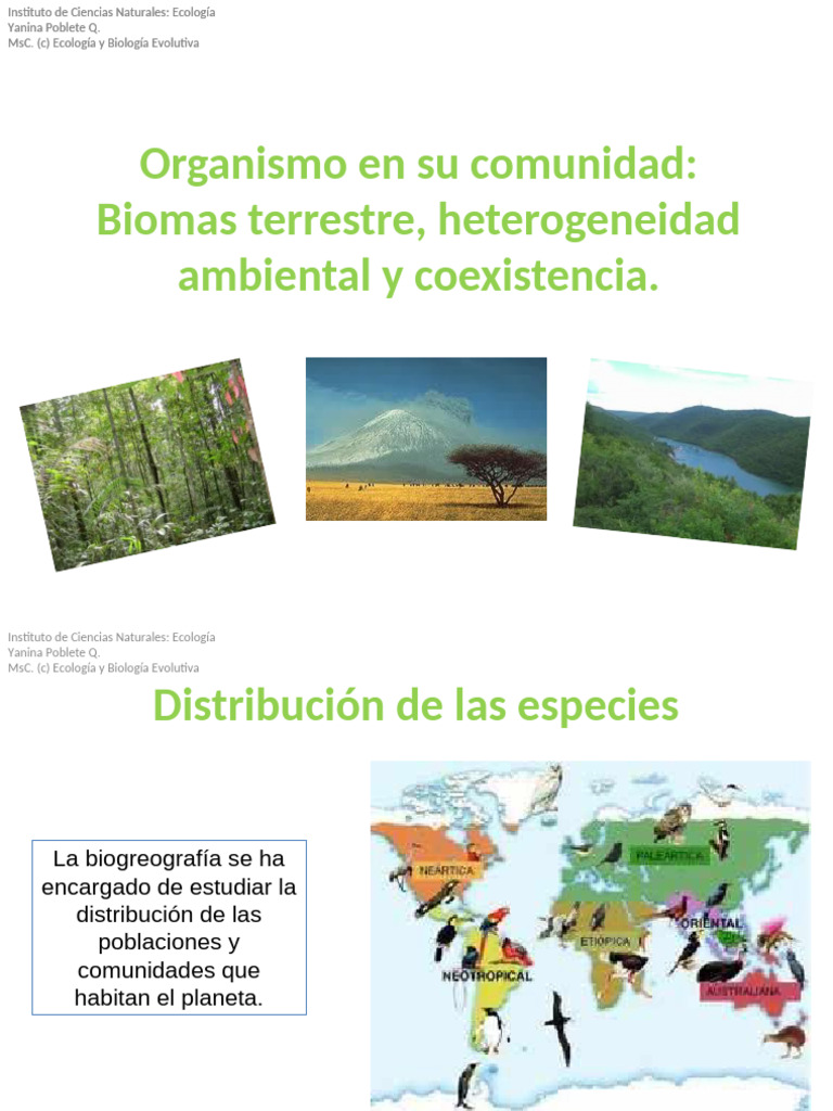 3 - Biomas | PDF | Ecología | Desierto