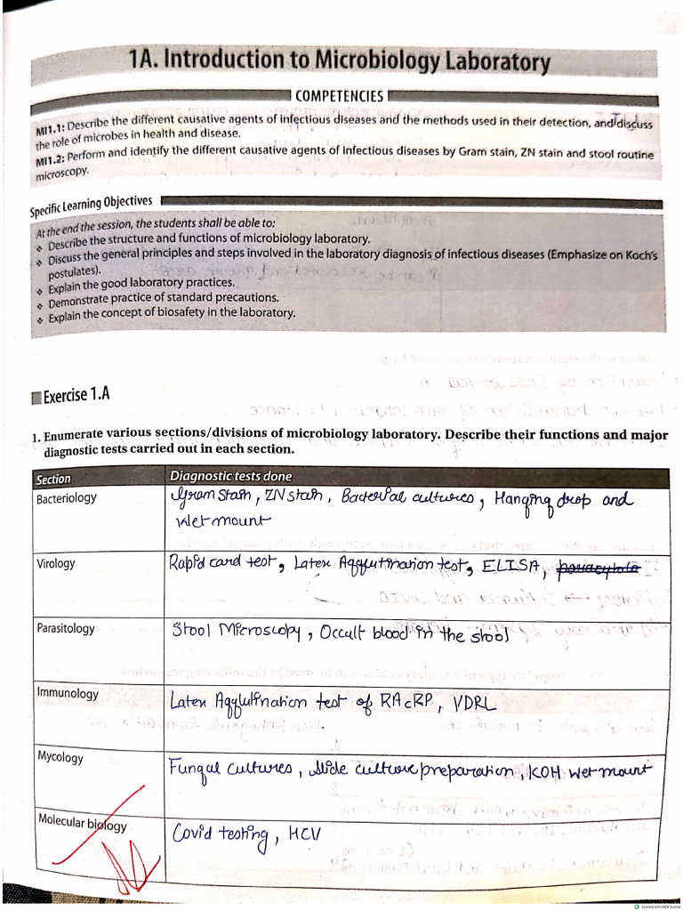 Micro Practical 2 | PDF