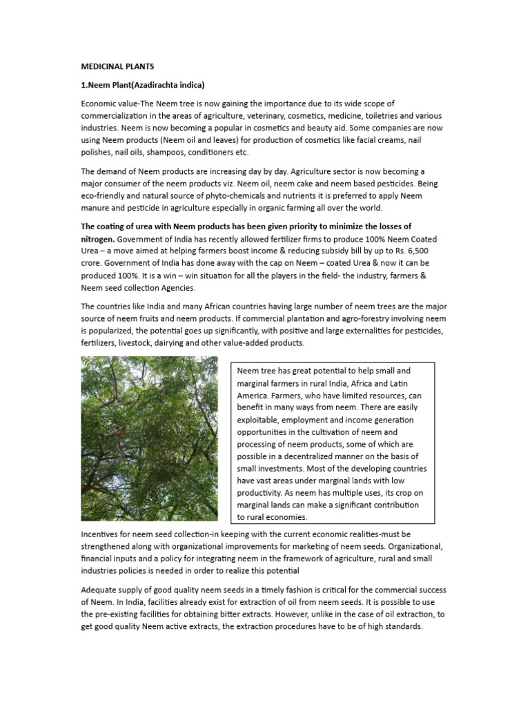 Medicinal Plants 1.neem Plant (Azadirachta Indica) | PDF | Soil | Trees