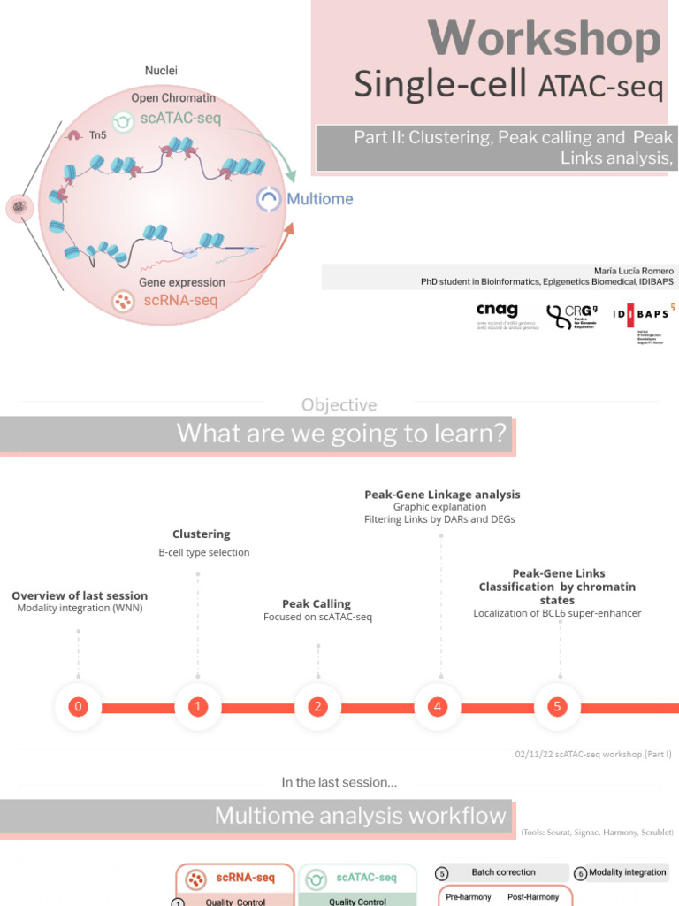 Workshop ScATAC Part II | PDF | Gene Expression | Cellular Differentiation