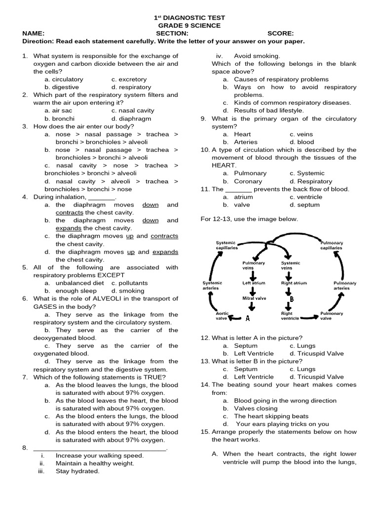 1st Periodic Test - Science 9 | PDF | Respiratory System | Circulatory ...