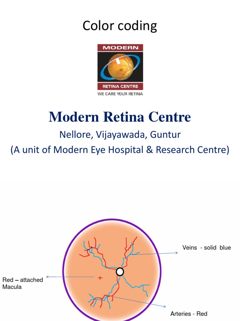 A Guide to Color Coding Common Retinal Features and Pathologies for ...