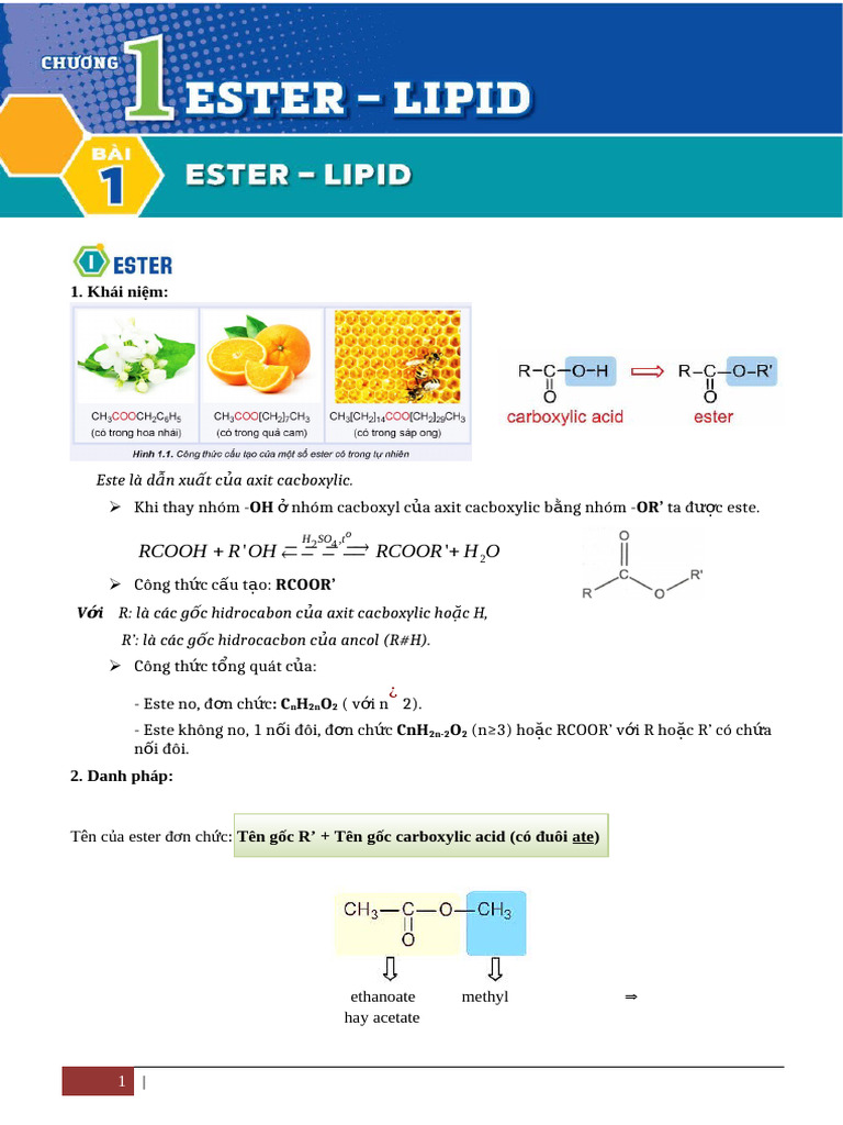 Bài 1. Ester - Lipid - GV - Fix | PDF