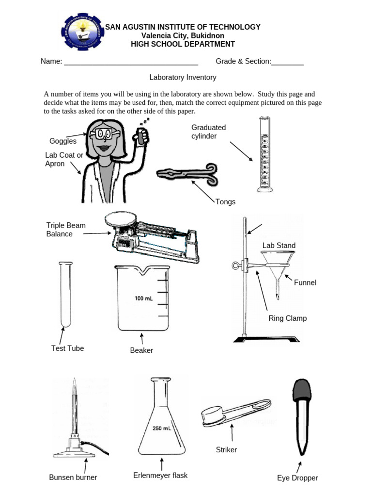Laboratory Activities | PDF | Temperature | Phase (Matter)